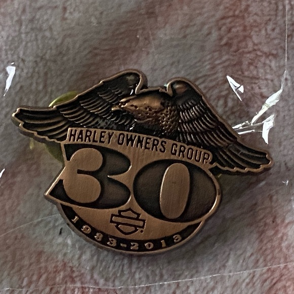 Harley-Davidson | Accessories | Harley Davidson Hog Pin 23 30th ...